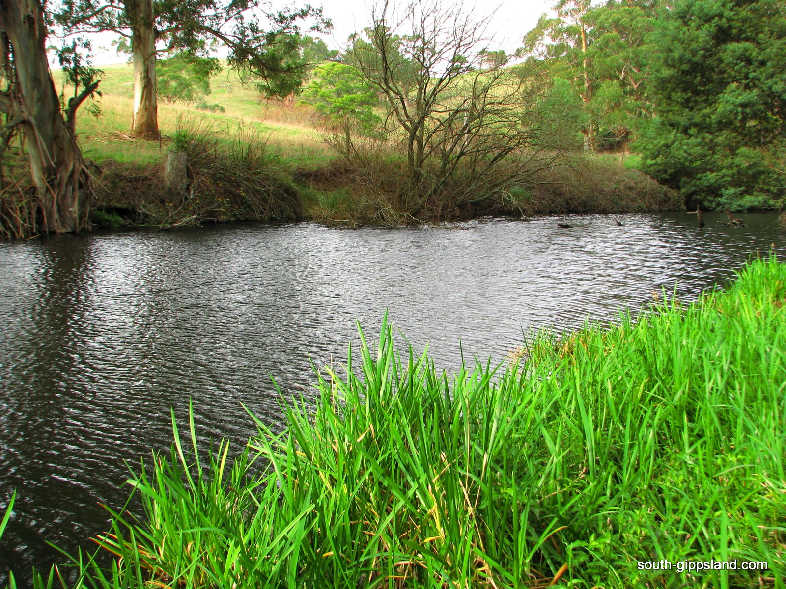 Agnes Falls South Gippsland - Victoria - Australia