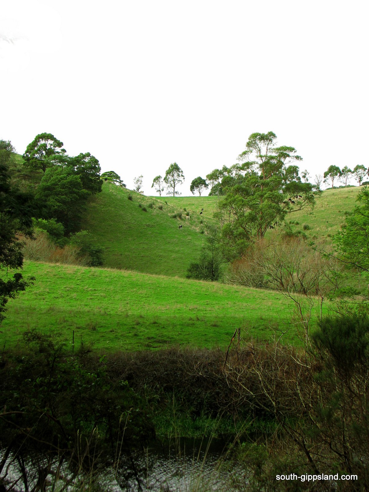 Agnes Falls South Gippsland - Victoria - Australia