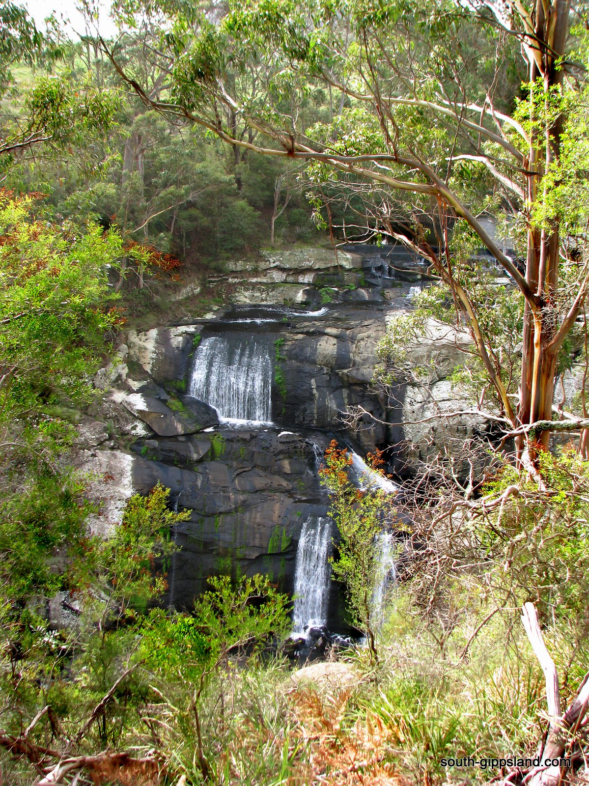 Agnes Falls South Gippsland - Victoria - Australia