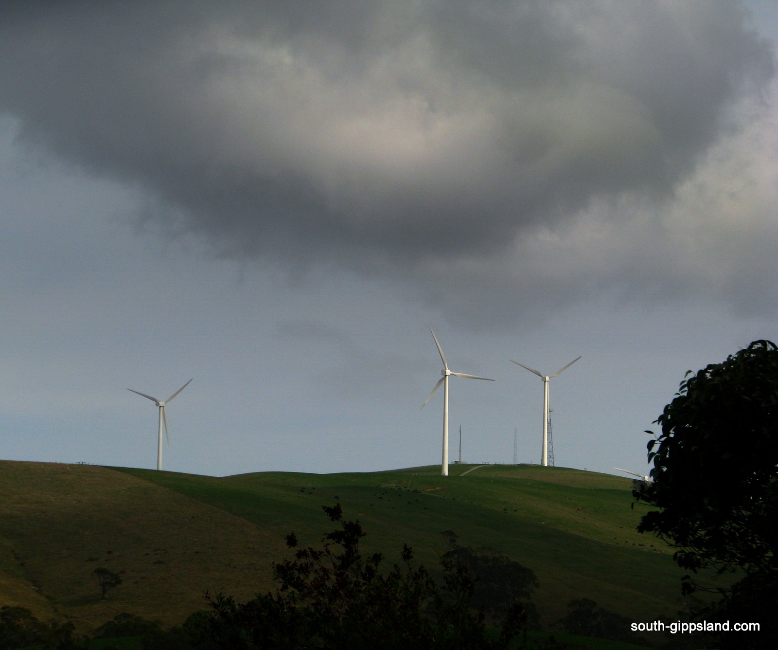Agnes Falls South Gippsland - Victoria - Australia