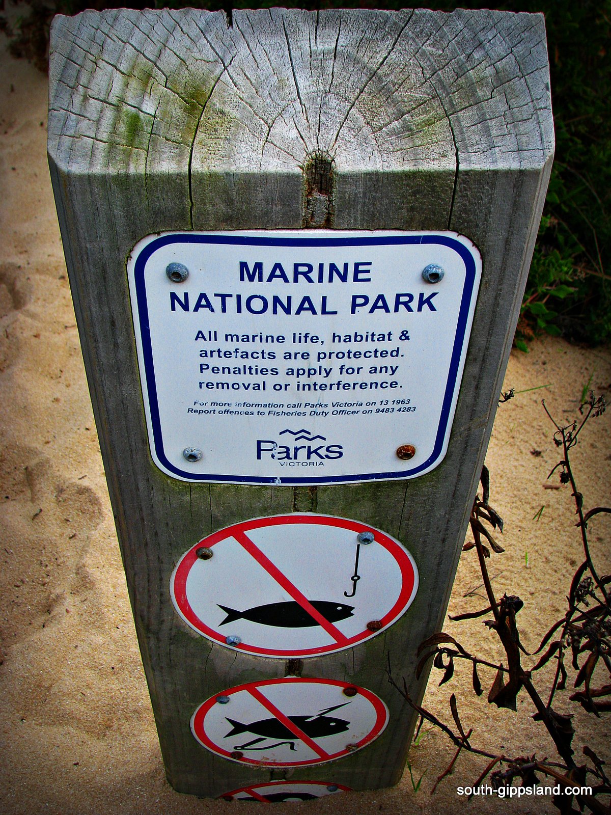 Bunurong Marine Park South Gippsland - Victoria - Australia