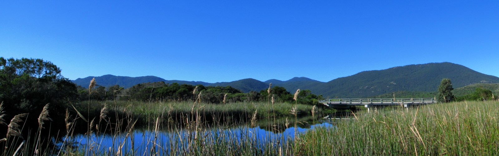 Darby River South Gippsland - Victoria - Australia