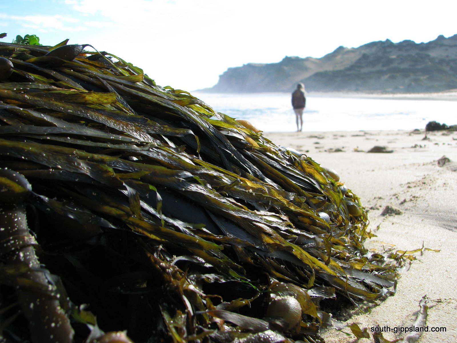 Darby Beach South Gippsland - Victoria - Australia