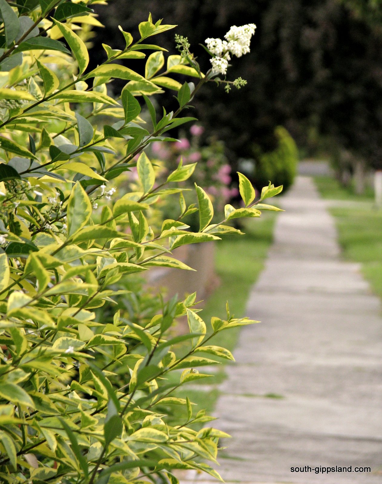 Foster South Gippsland - Victoria - Australia