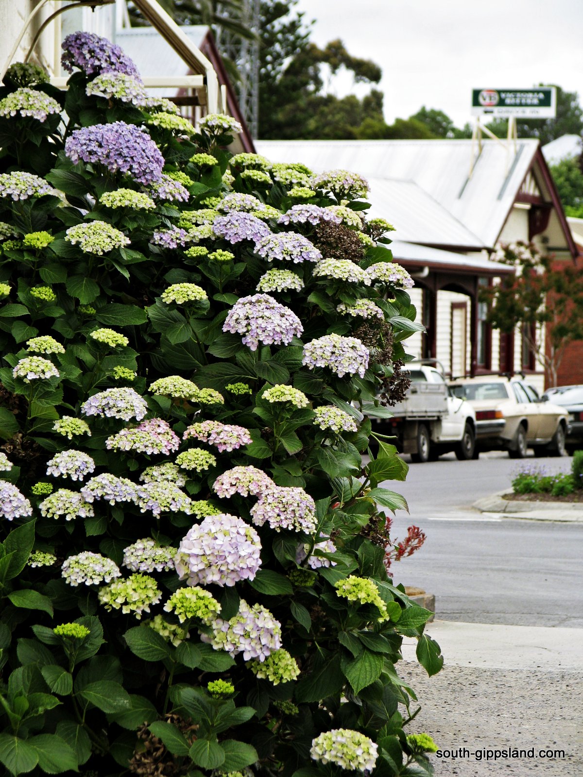 Foster South Gippsland - Victoria - Australia