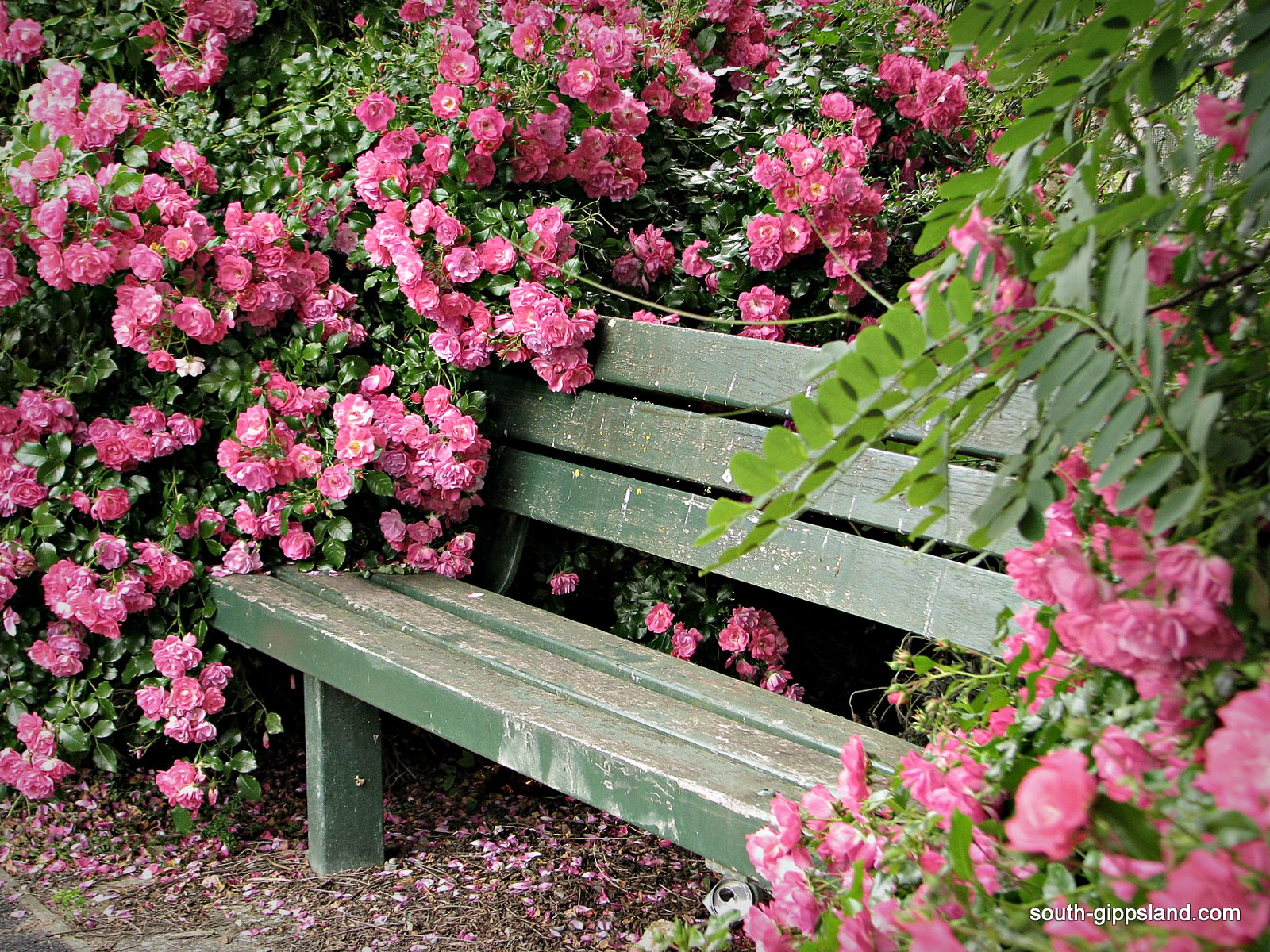 Foster South Gippsland - Victoria - Australia