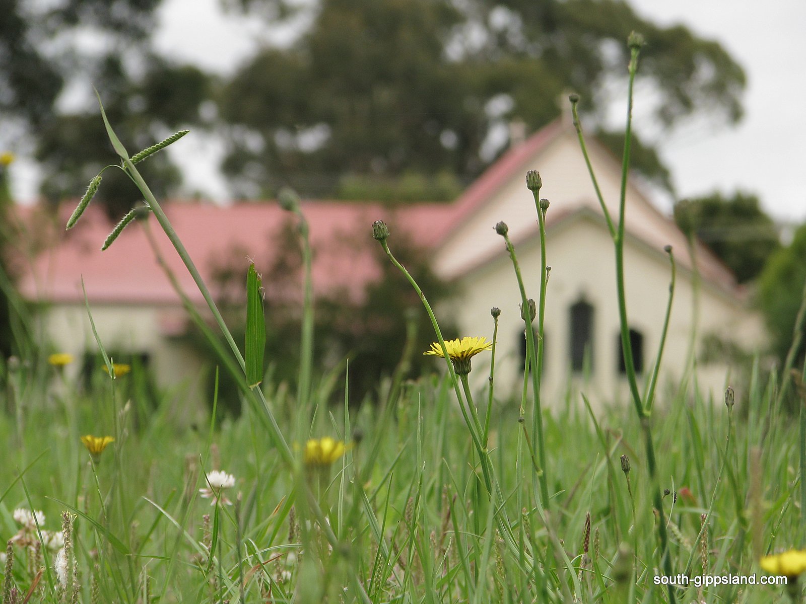 Foster South Gippsland - Victoria - Australia
