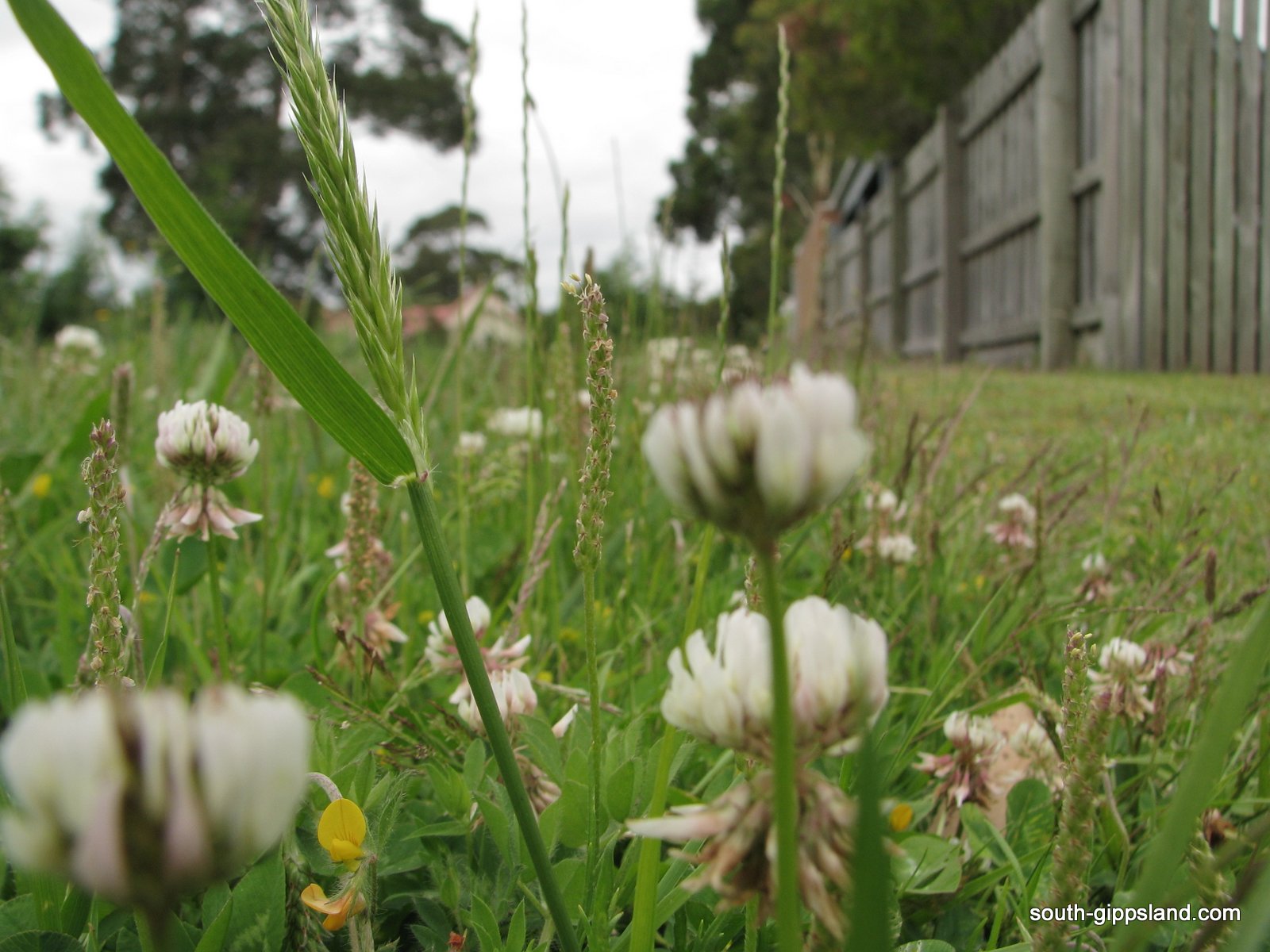 Foster South Gippsland - Victoria - Australia