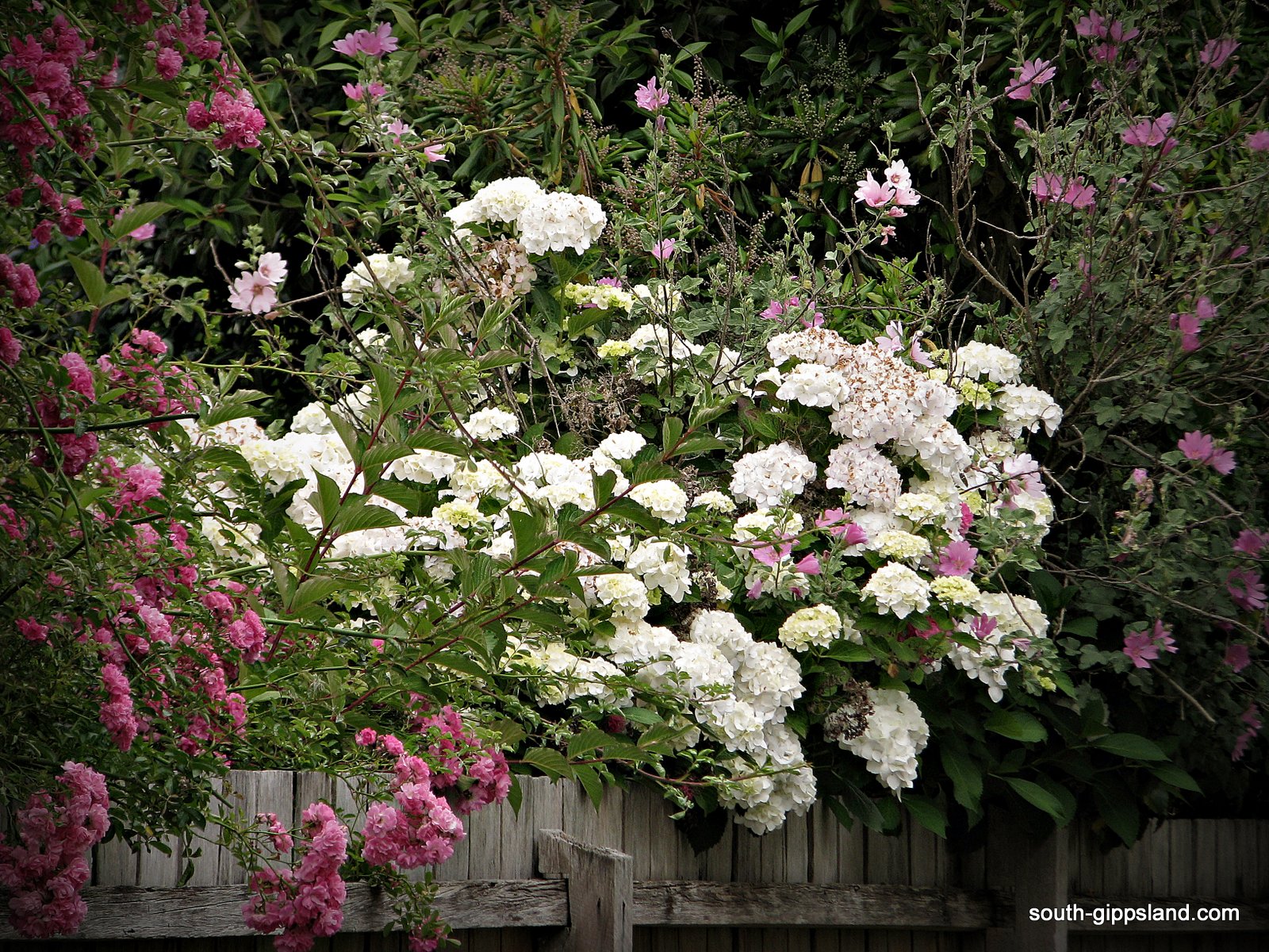 Foster South Gippsland - Victoria - Australia