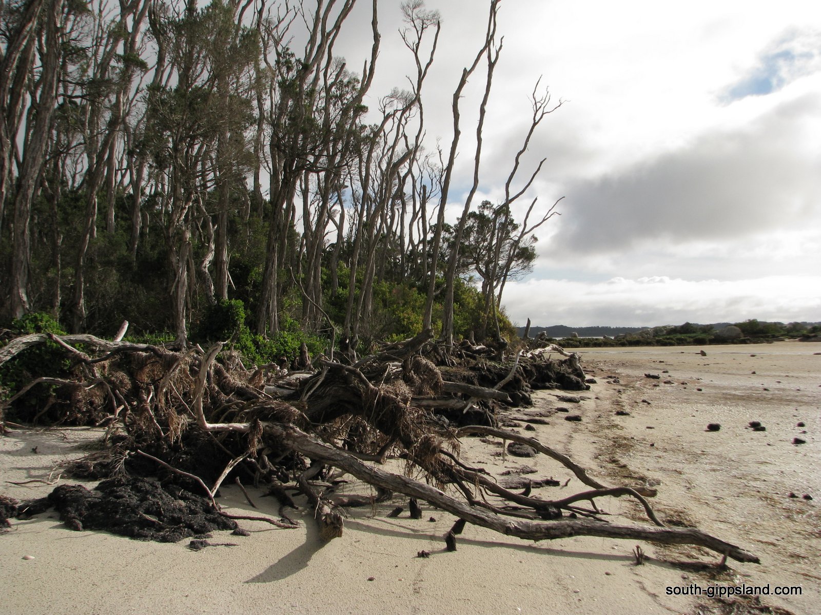 Corner Inlet Coastal Park South Gippsland - Victoria - Australia