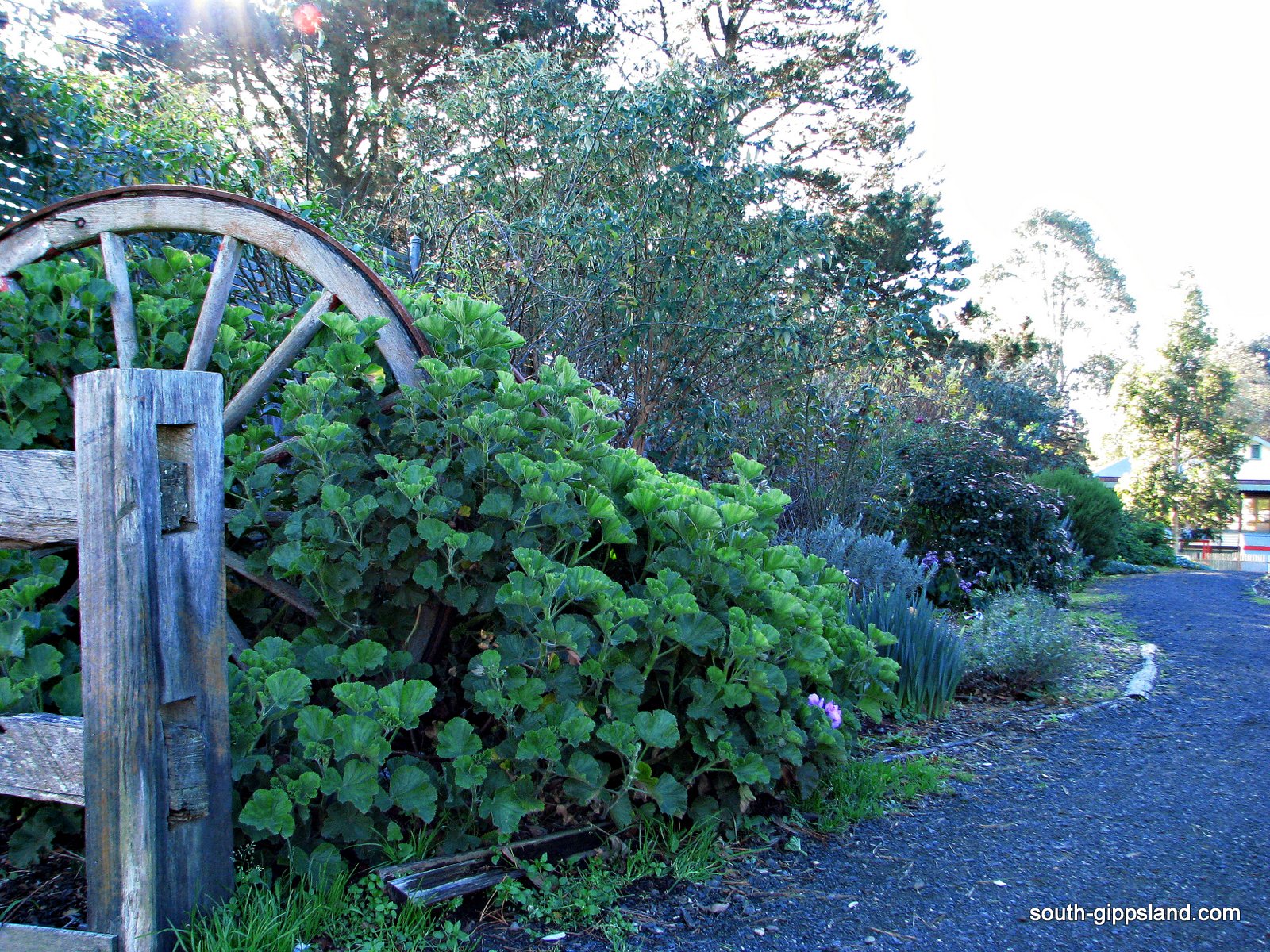 Mirboo North South Gippsland - Victoria - Australia