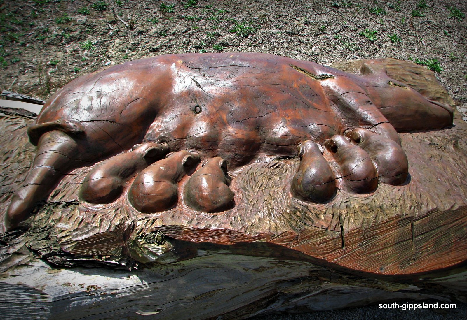 Poowong South Gippsland - Victoria - Australia