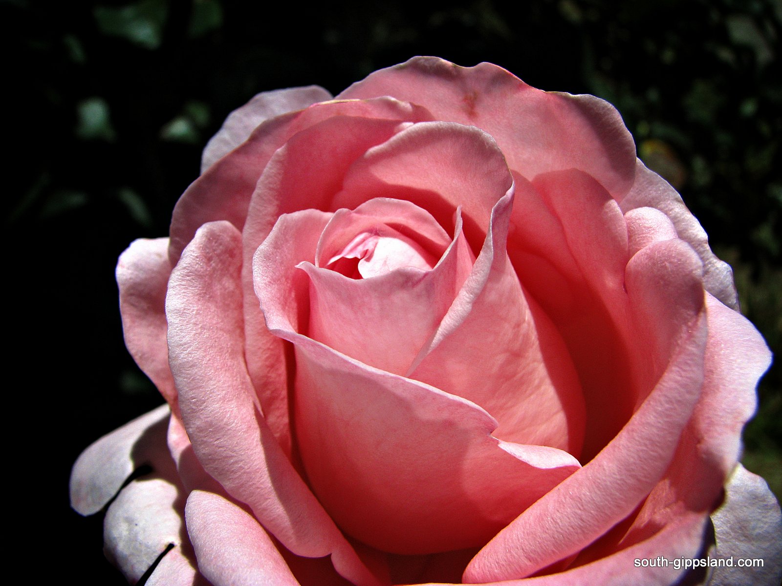 Poowong South Gippsland - Victoria - Australia