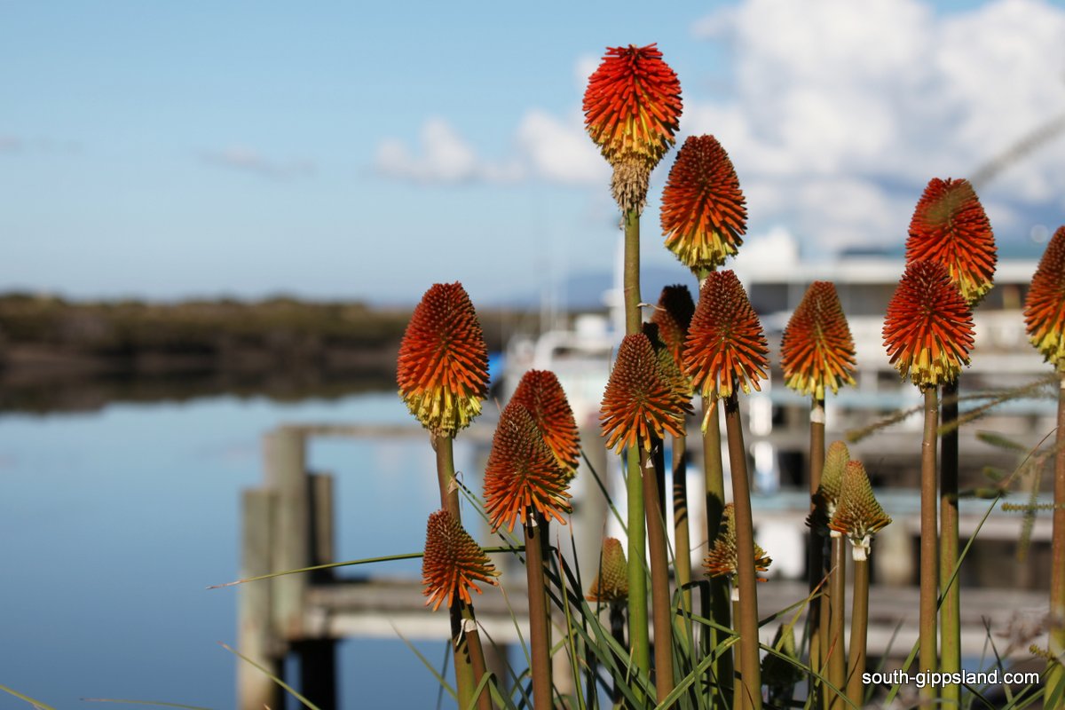 Port Franklin South Gippsland - Victoria - Australia