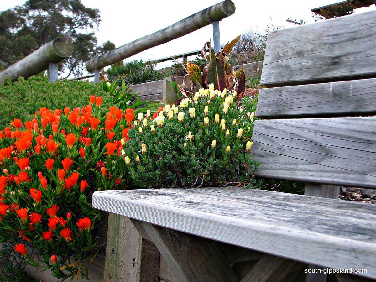 Port Franklin South Gippsland - Victoria - Australia