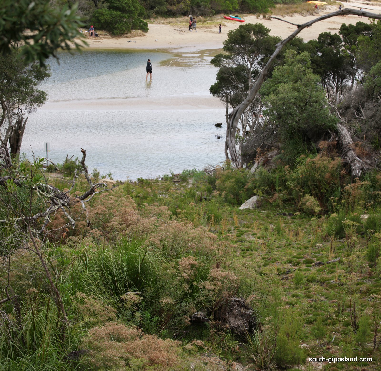 Tidal River Wilsons Prom South Gippsland - Victoria - Australia