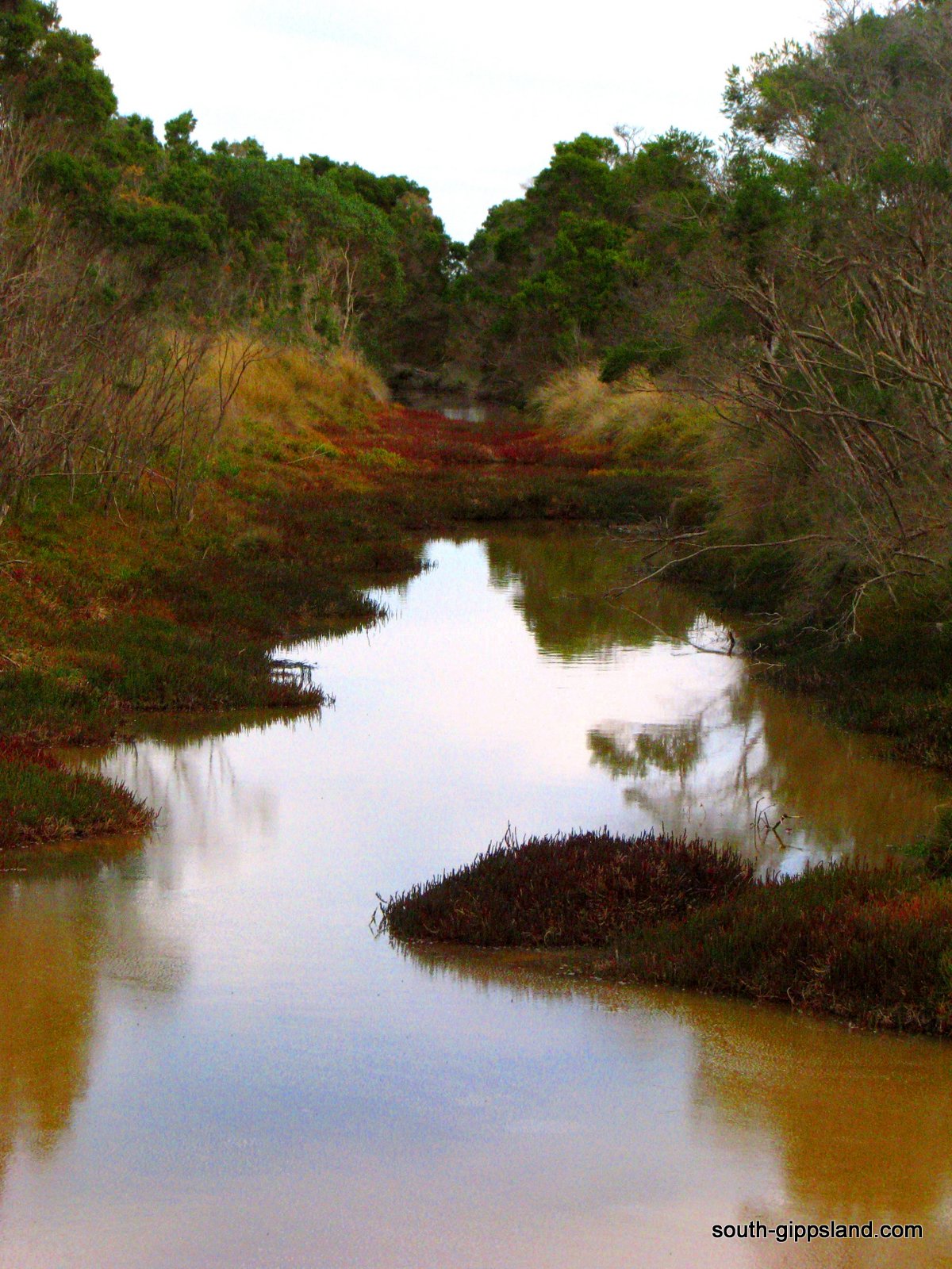 Corner Inlet Coastal Park South Gippsland - Victoria - Australia