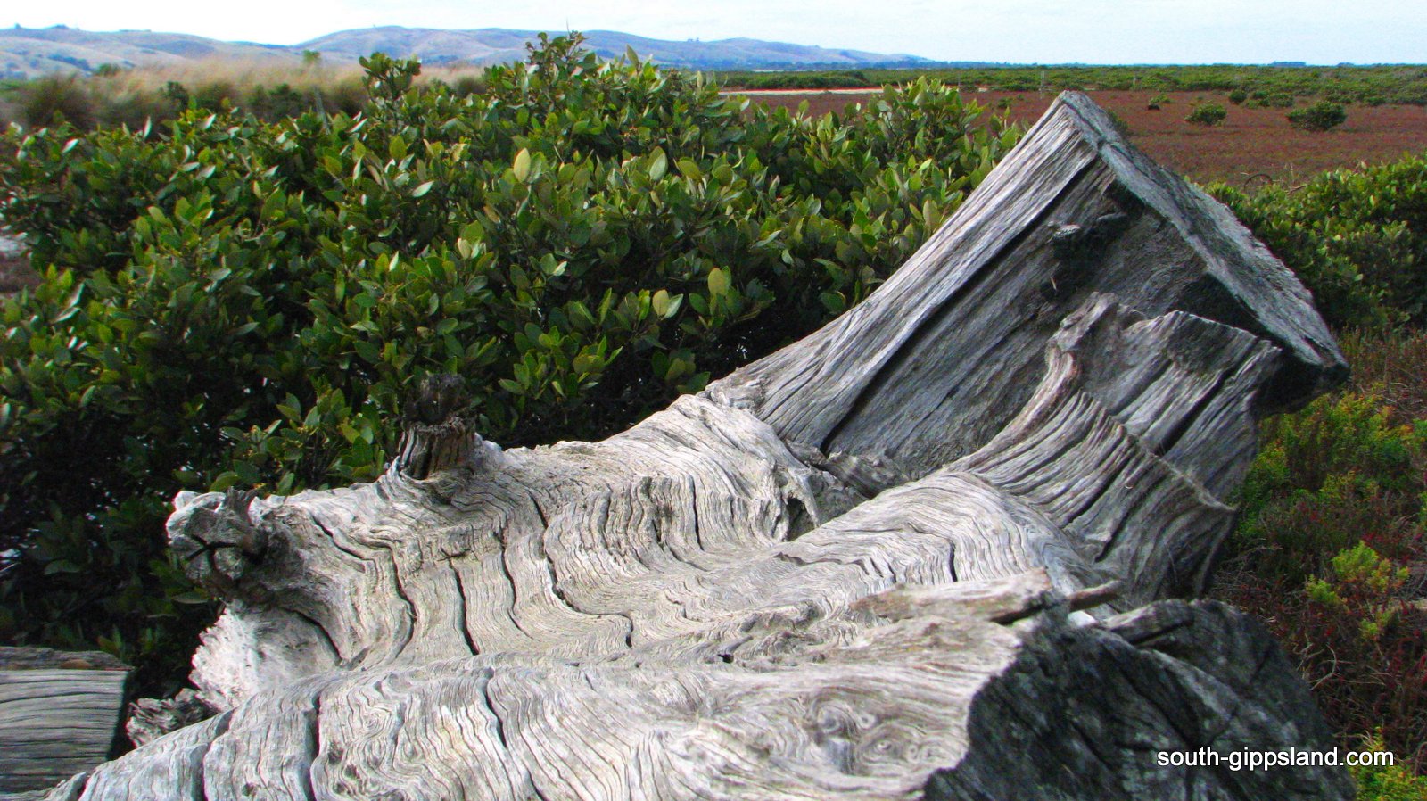 Corner Inlet Coastal Park South Gippsland - Victoria - Australia