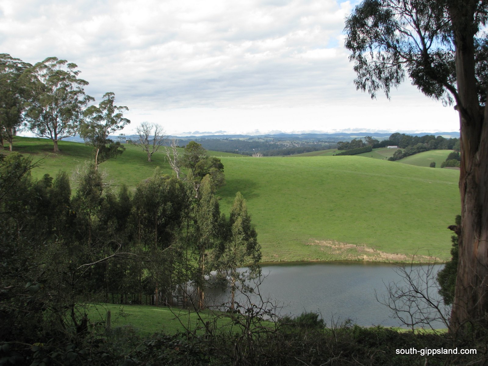 Mirboo North South Gippsland - Victoria - Australia