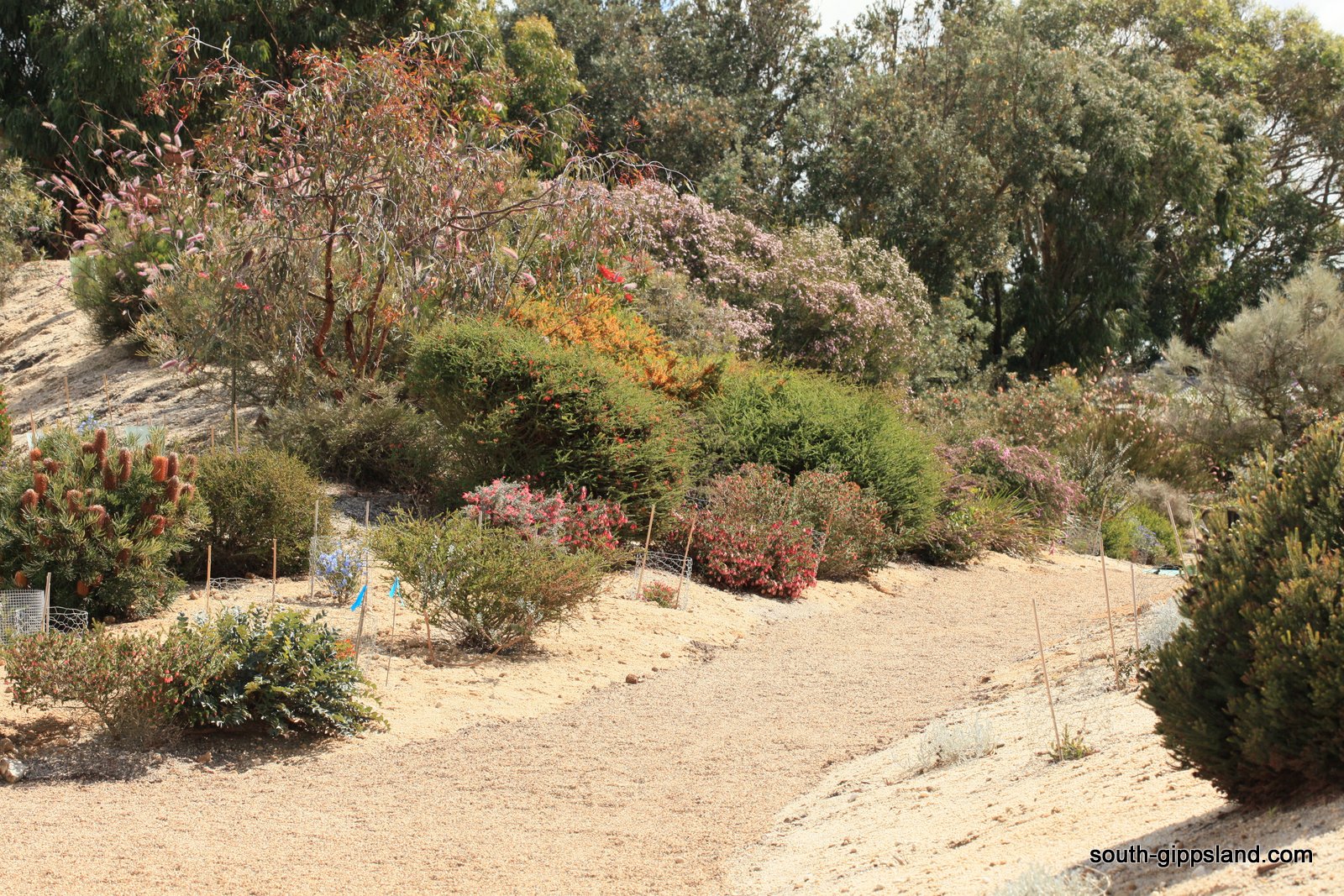 Native Plant Nursery | South Gippsland - Victoria - Australia