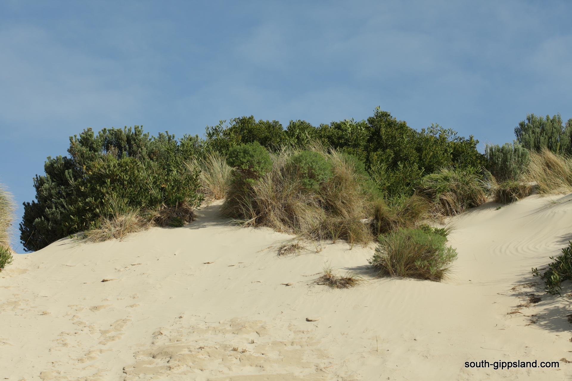 Sandy Point South Gippsland - Victoria - Australia