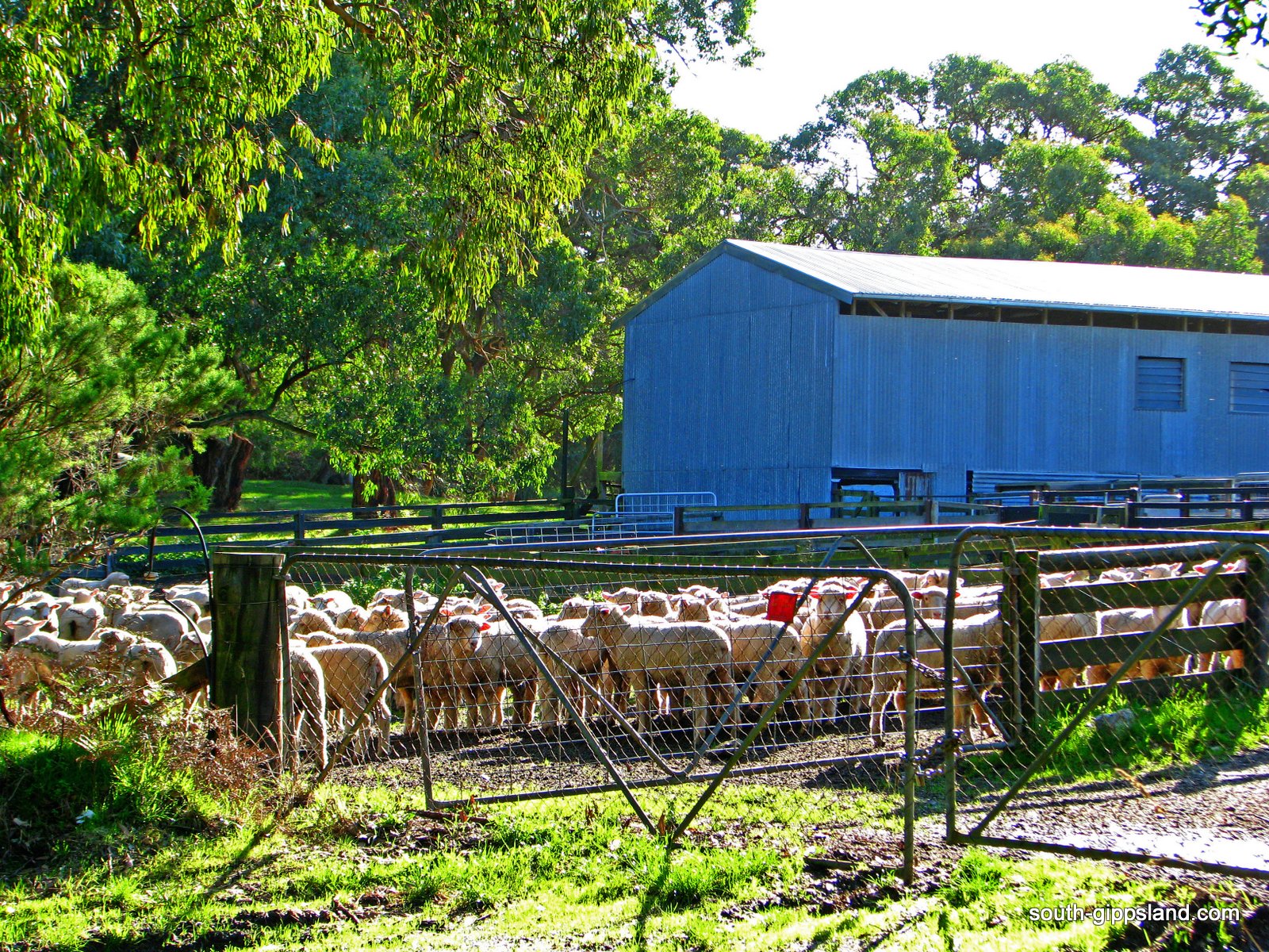 Walkerville South Gippsland - Victoria - Australia